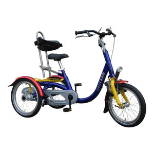 Tricycle Mini